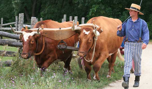 A Proven Strategy for Increasing Productivity – Michael Pink