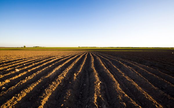 How to Increase Sales by Filtering the “Good Ground” – Michael Pink