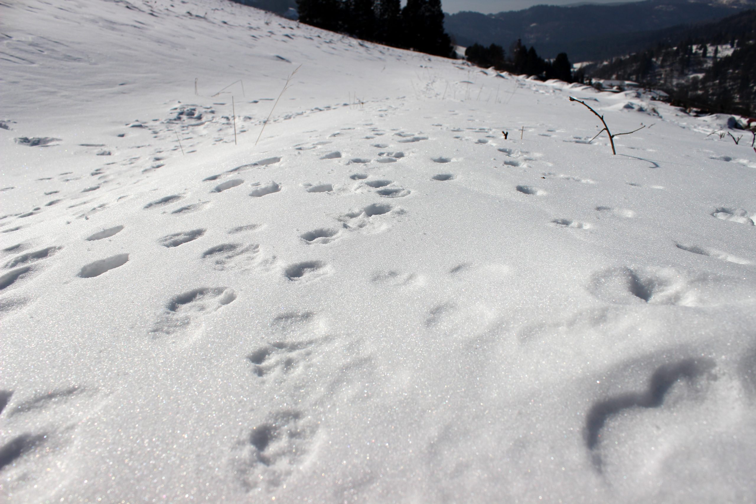 Lessons From Stepping on a Landmine at Age 15 - Michael Pink